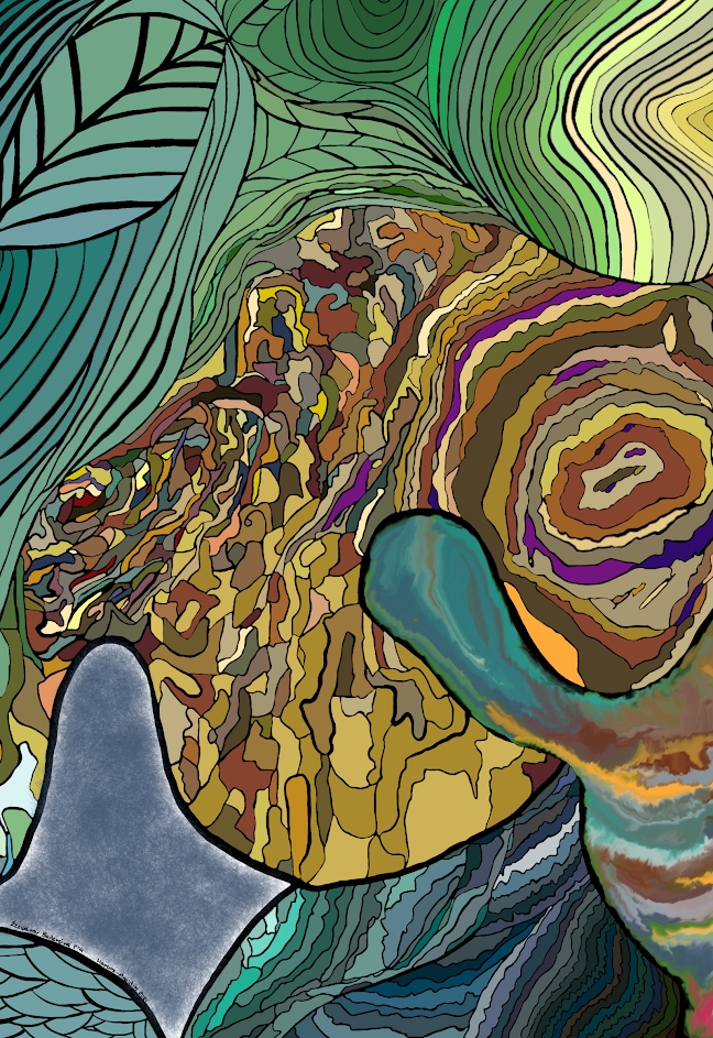 ΤΟ ΓΥΜΝΑΣΙΟ ΤΟΥ ΕΛΛΗΝΙΚΟΥ ΚΟΛΛΕΓΙΟΥ ΘΕΣΣΑΛΟΝΙΚΗΣ ΣΤΟ ΔΙΚΤΥΟ ASP NET ΤΗΣ ...